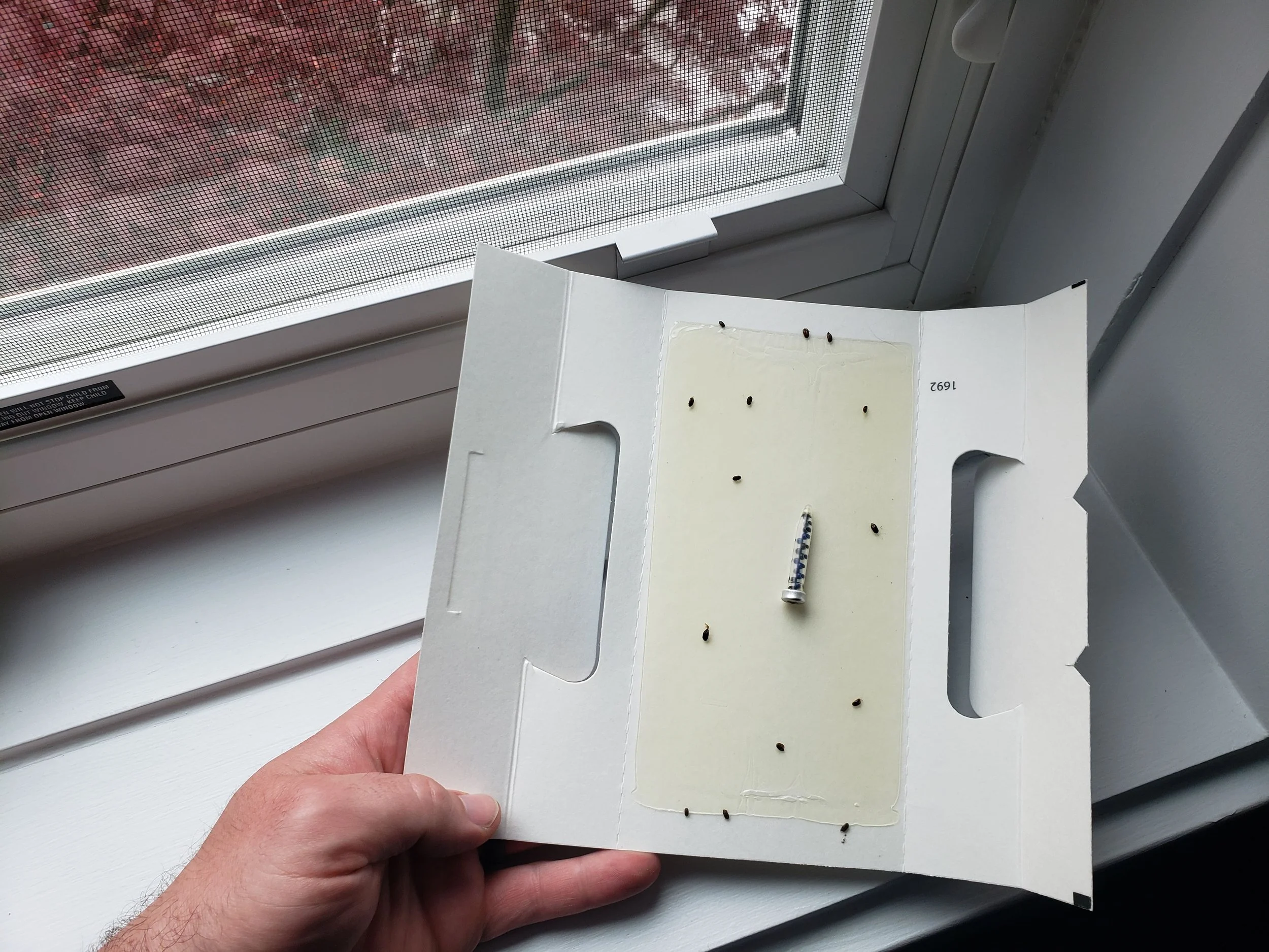 Pantrol Patrol Insect Trap