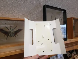 All Beetle AA Carpet Beetle Kit