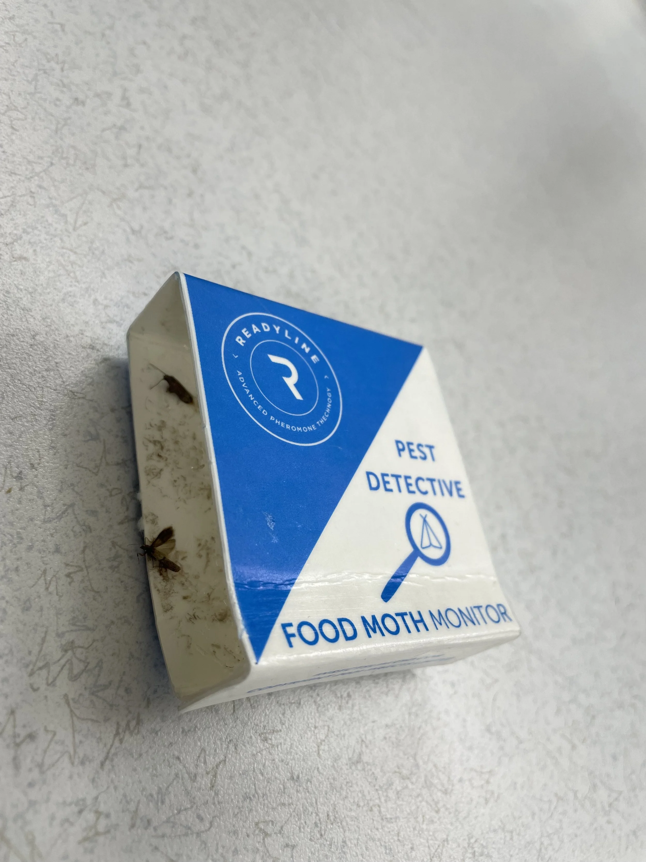 A solution for food infesting insects