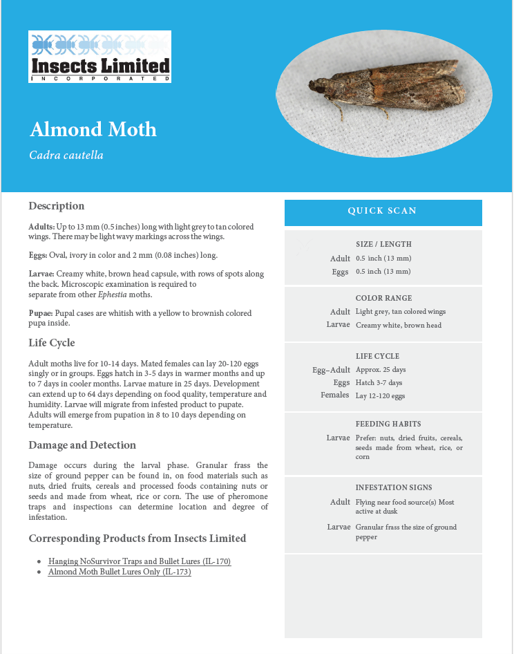Almond Moth