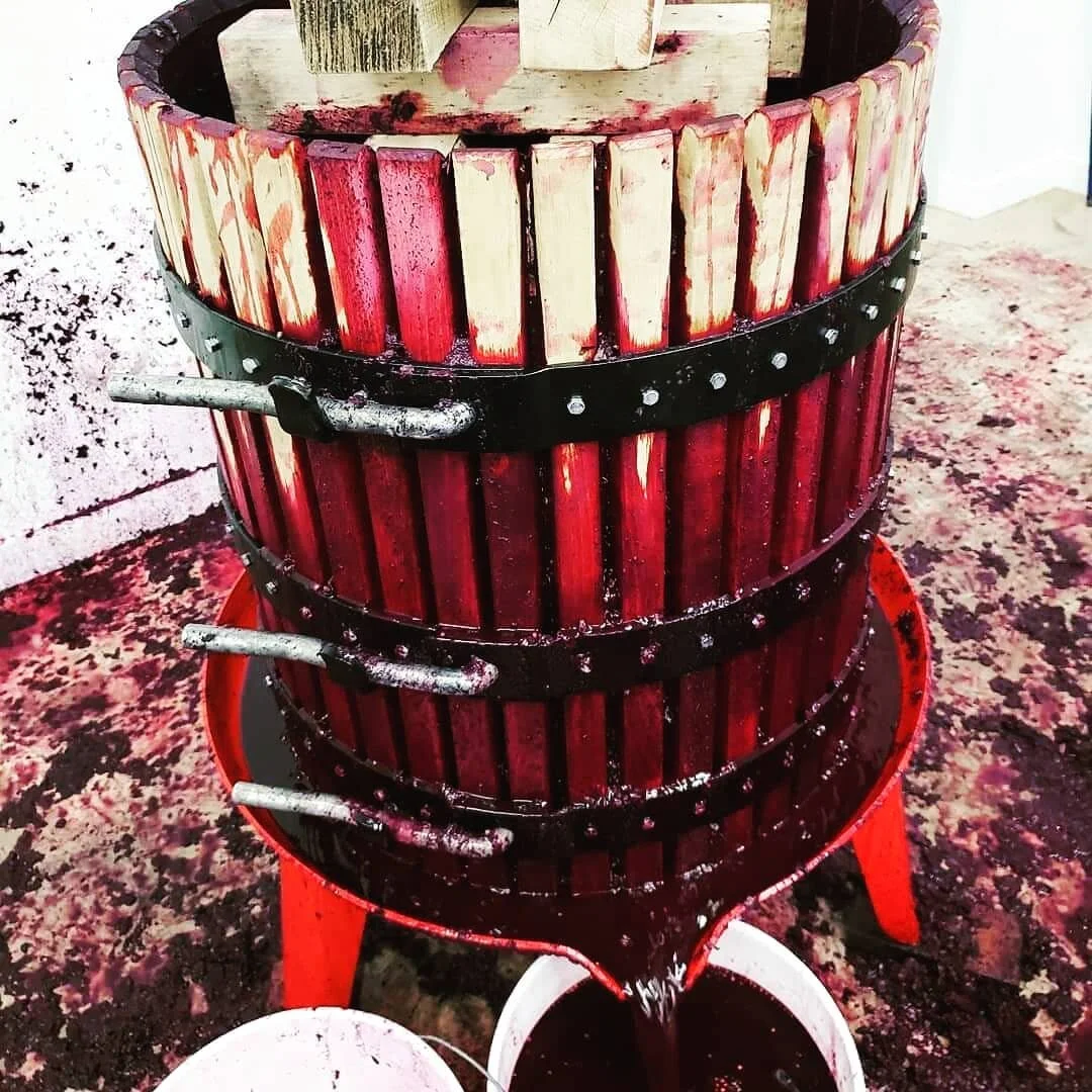 Stardust Cellars Sales Page