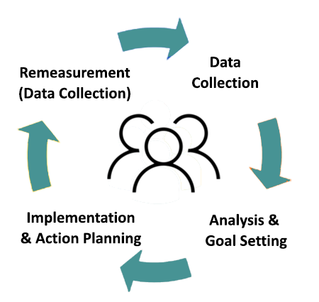 Organizational Consulting Seattle | Nash Consulting — NASH CONSULTING