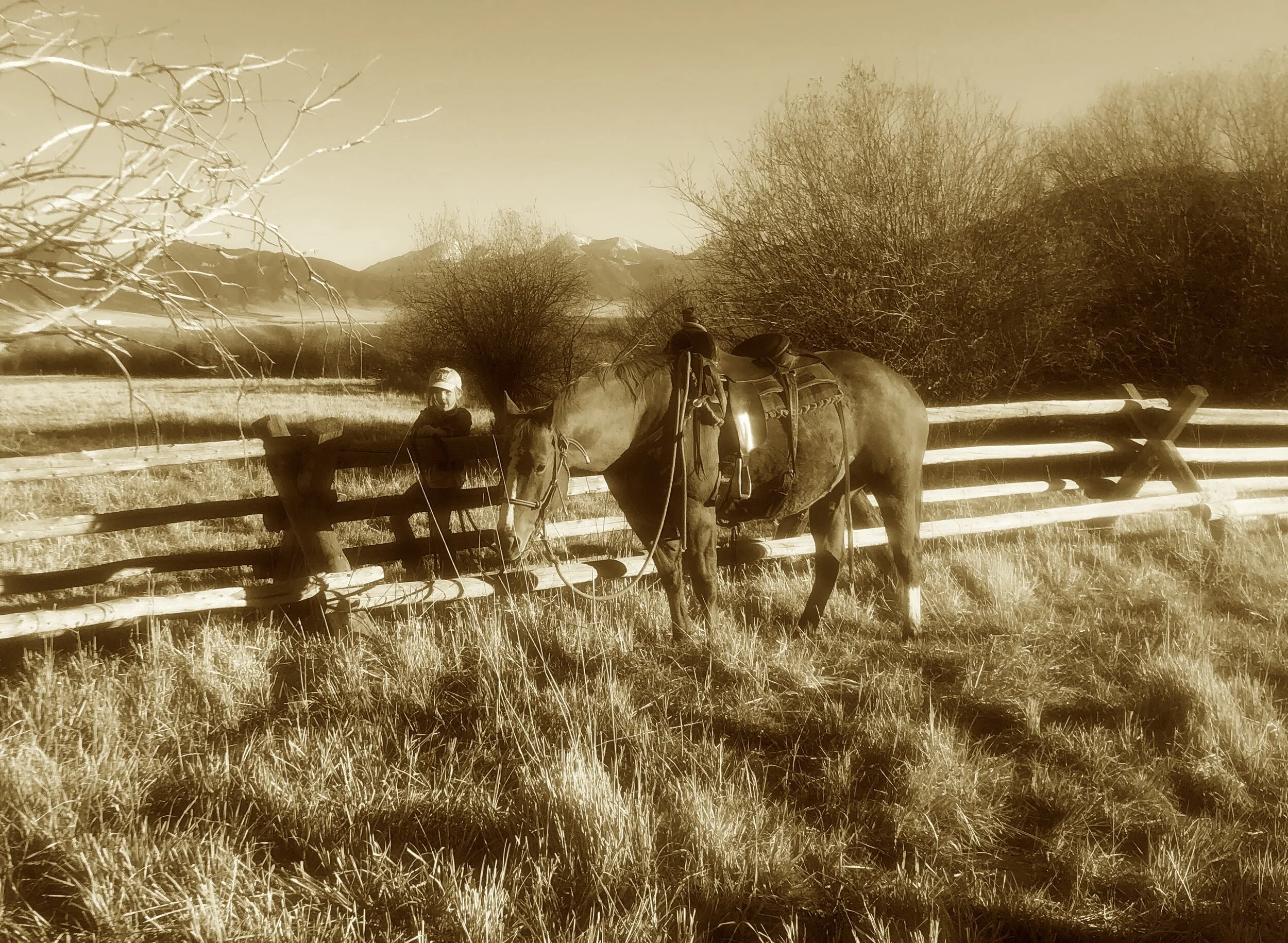 Services — Heritage Jack Fence