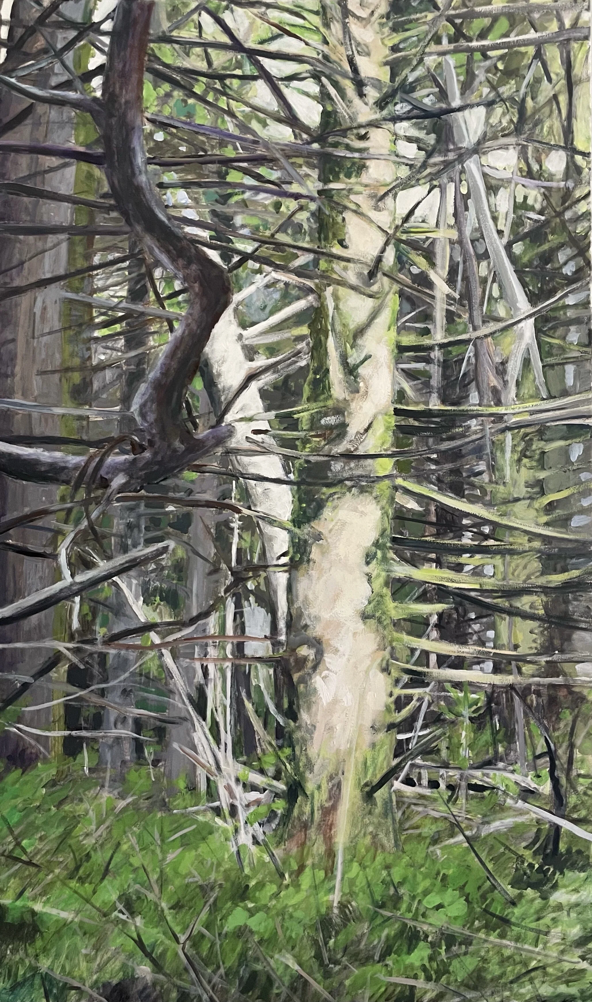 Gregory Smith — Art Cellar Gallery | Banner Elk, NC