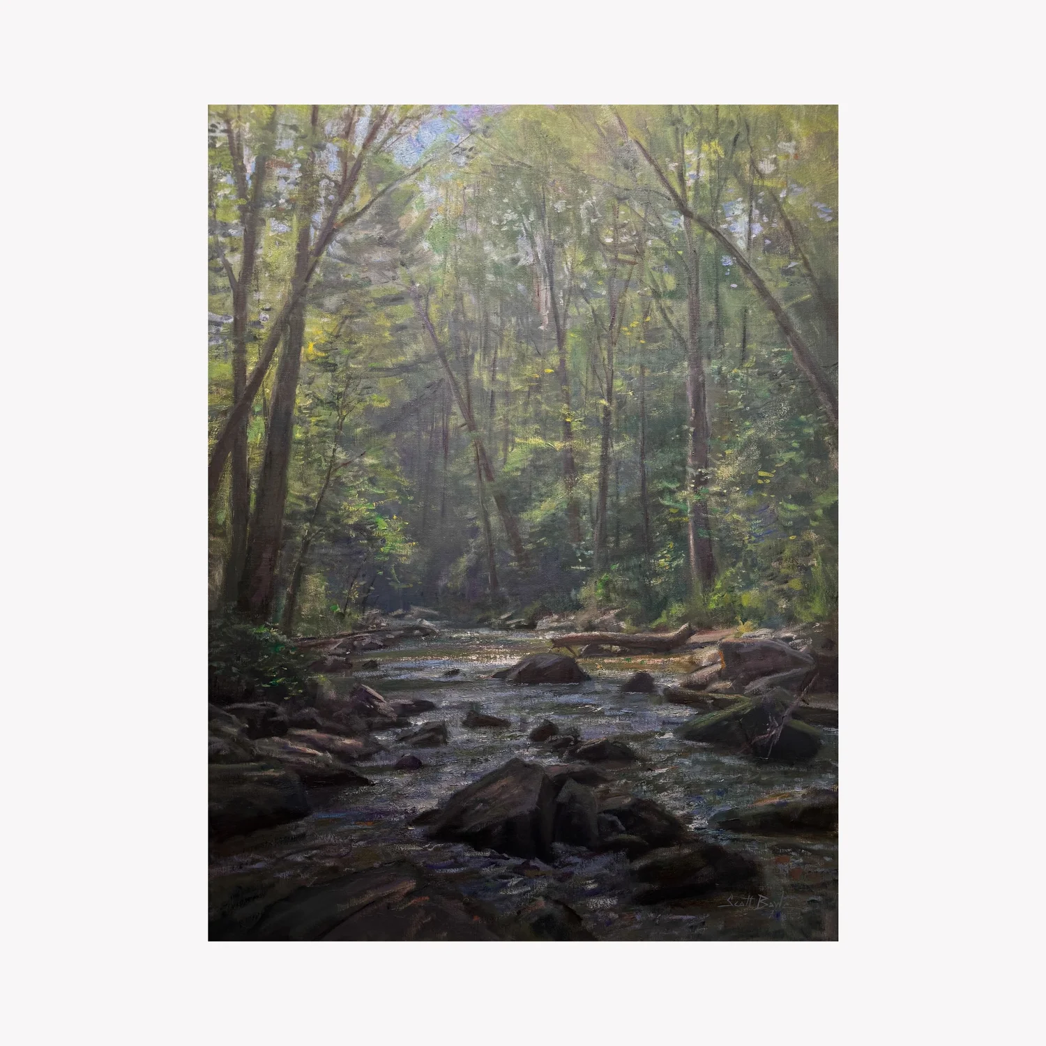 Scott Boyle — Art Cellar Gallery | Banner Elk, NC