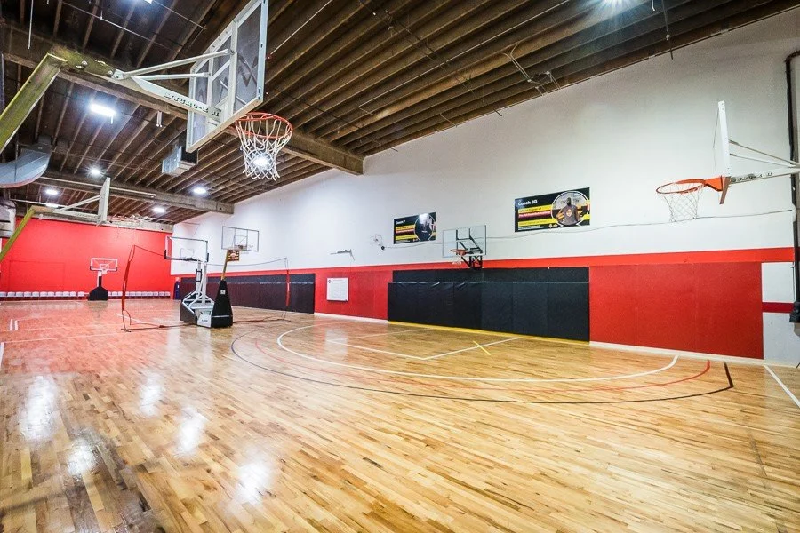 Raleigh, NC area Professional Basketball Skills Training