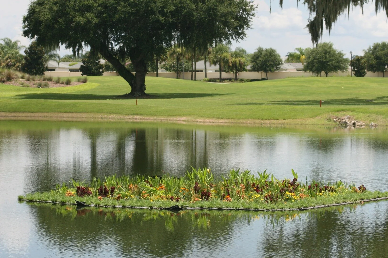 Beemats: Healing Golf Course Ponds and Lakes through Floating Wetlands ...