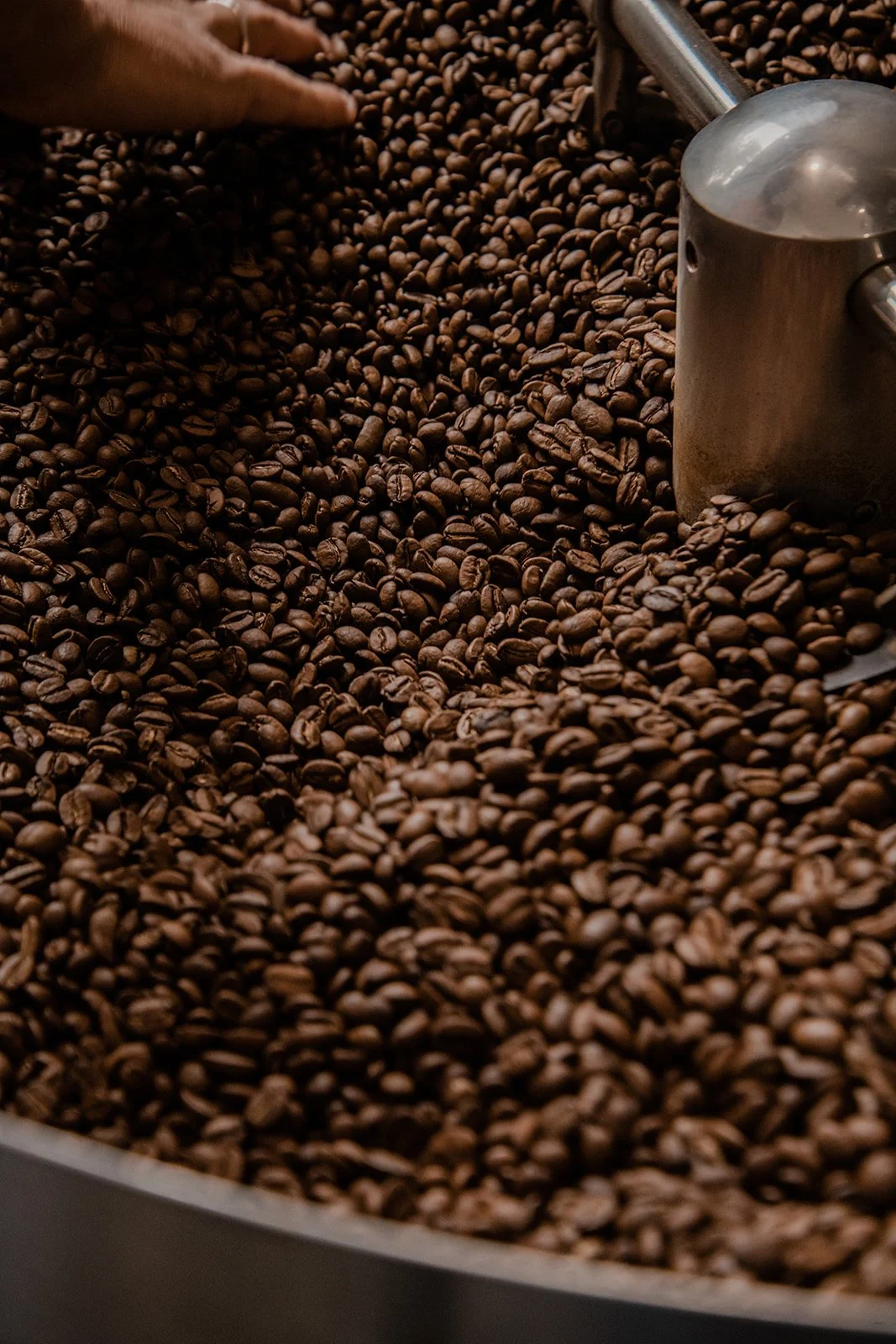 Noosa Coffee Roastery