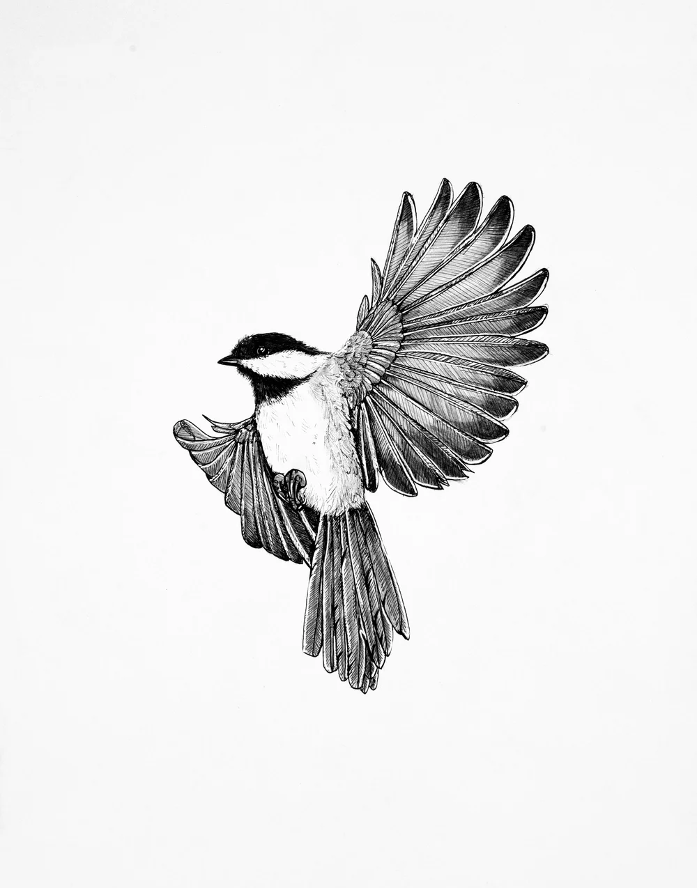Chickadee Flying Tattoo