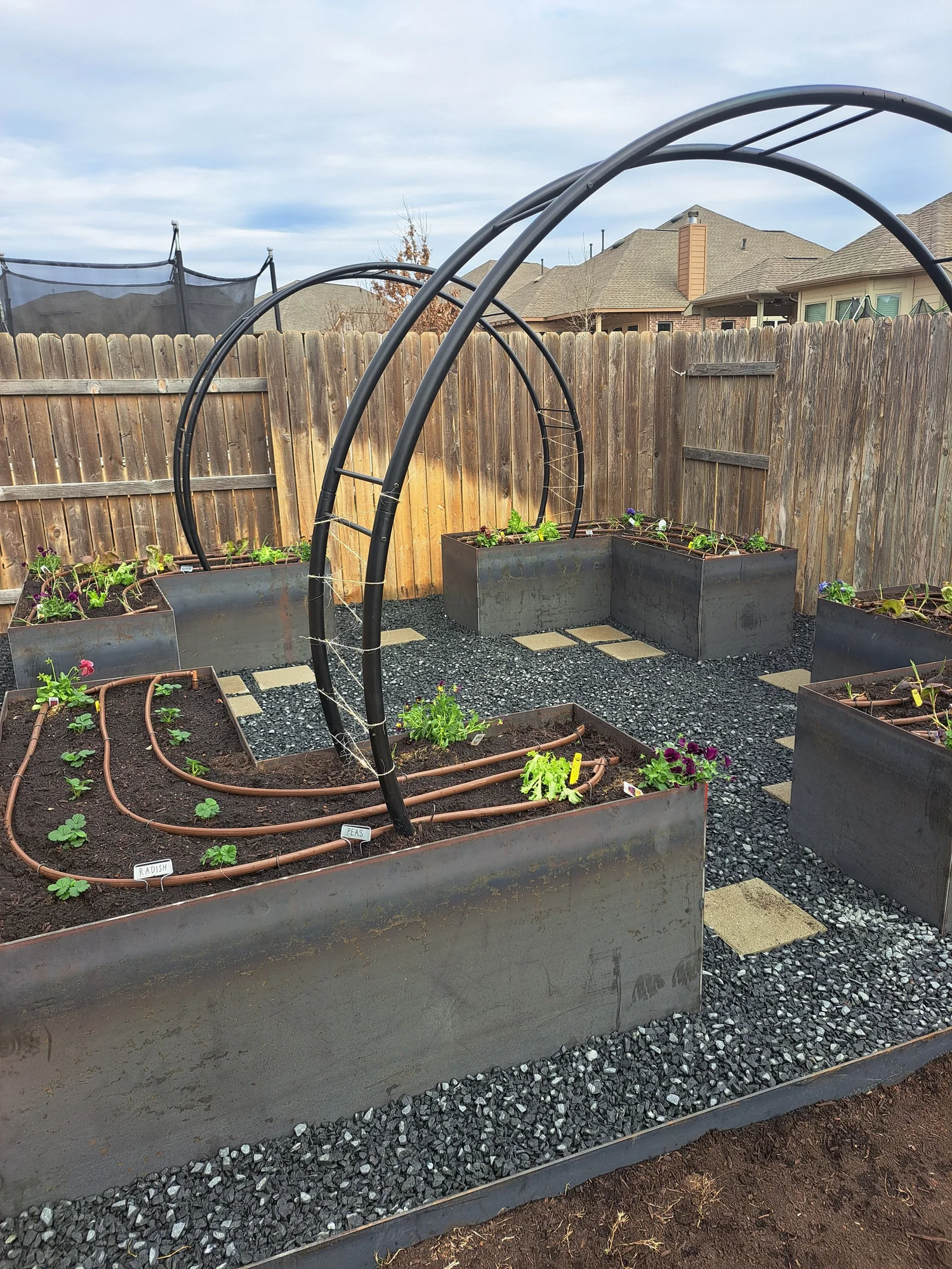 5 Benefits of Drip Irrigation in Central Texas — Texas Raised Gardens