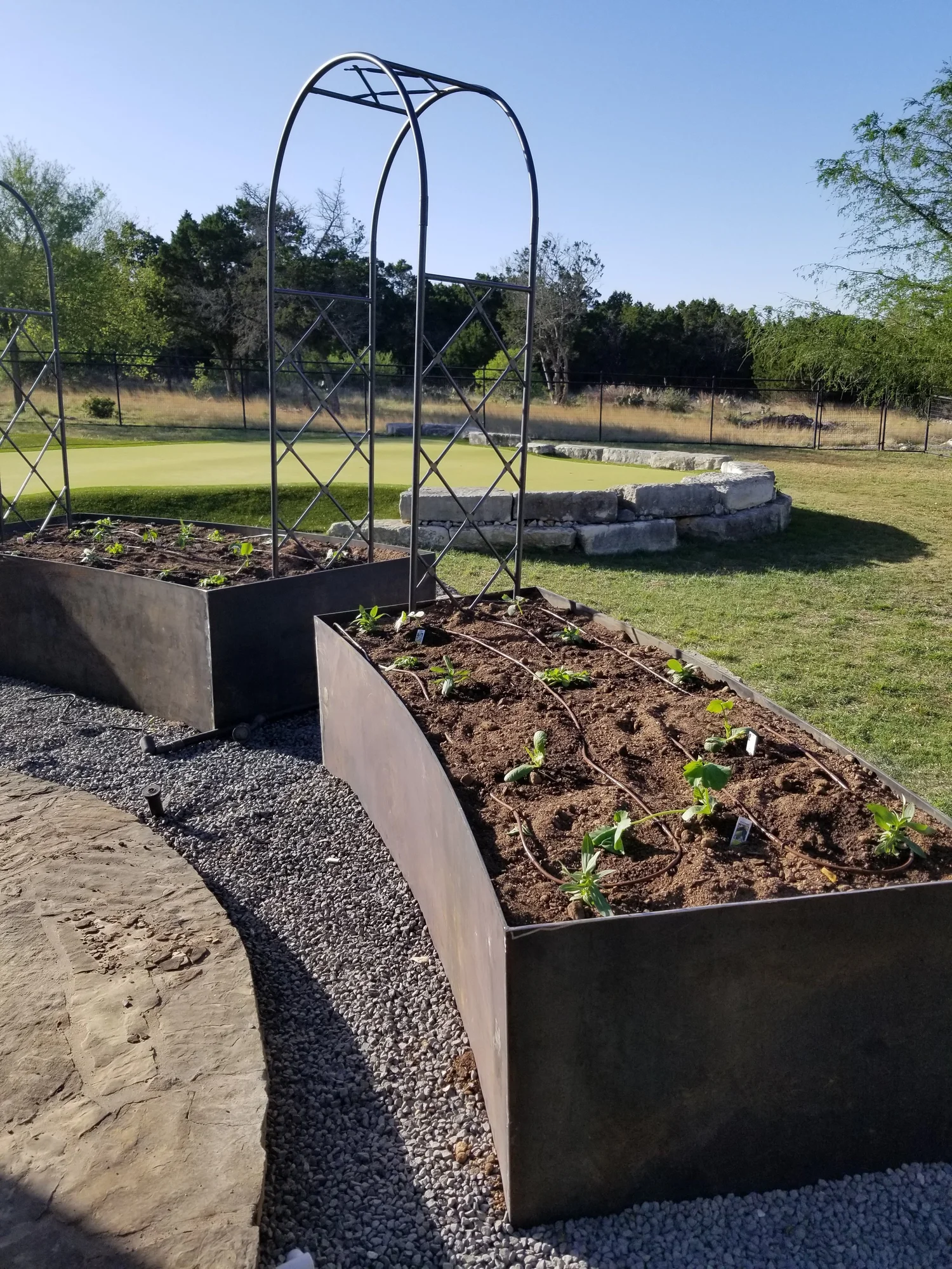 Steel raised beds — Texas Raised Gardens