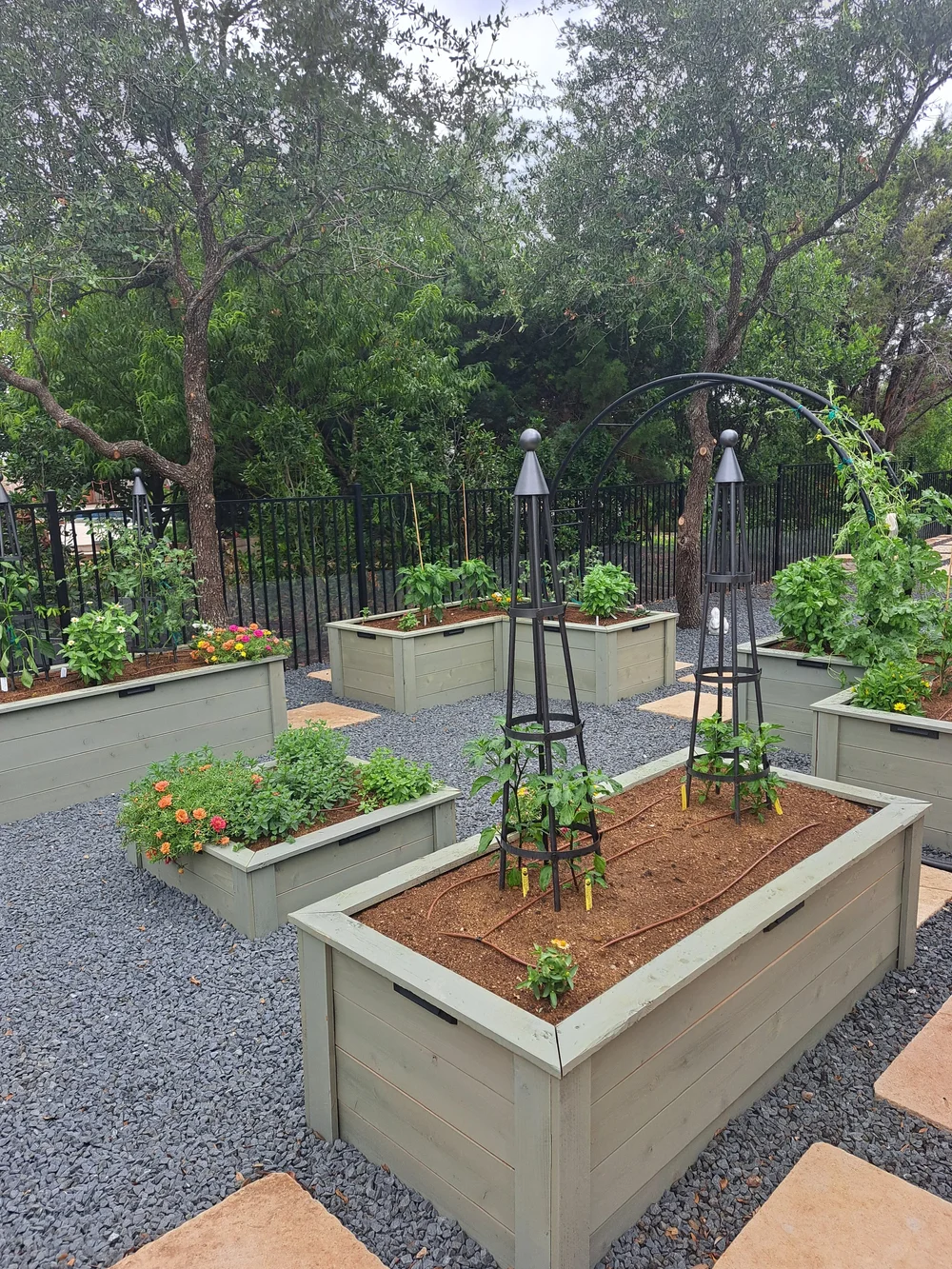 Reaching new heights by utilizing a garden trellis — Texas Raised Gardens