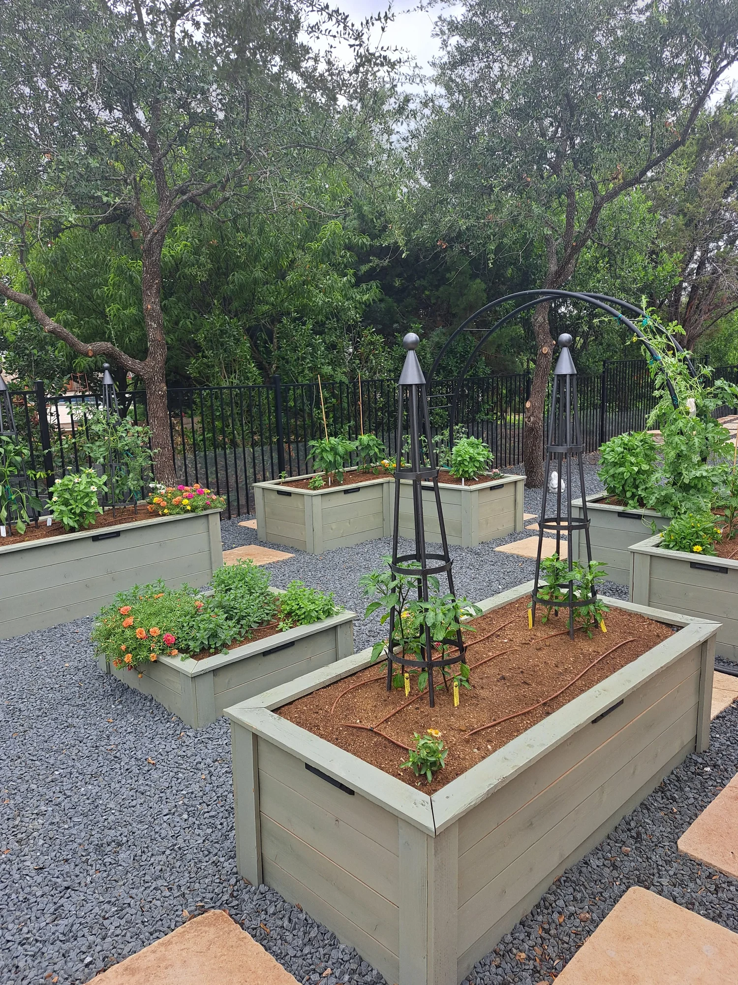Reaching new heights by utilizing a garden trellis — Texas Raised Gardens