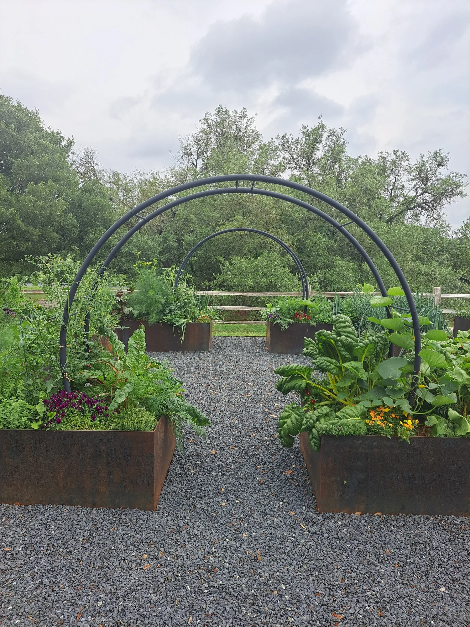Raised Bed Materials — Texas Raised Gardens