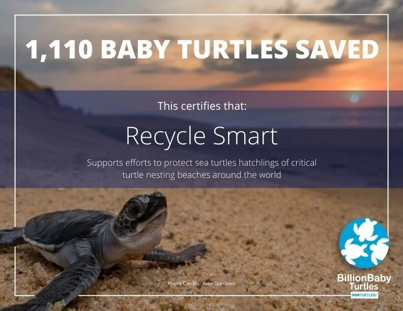 How we’re saving the turtles this World Turtle Day — RecycleSmart