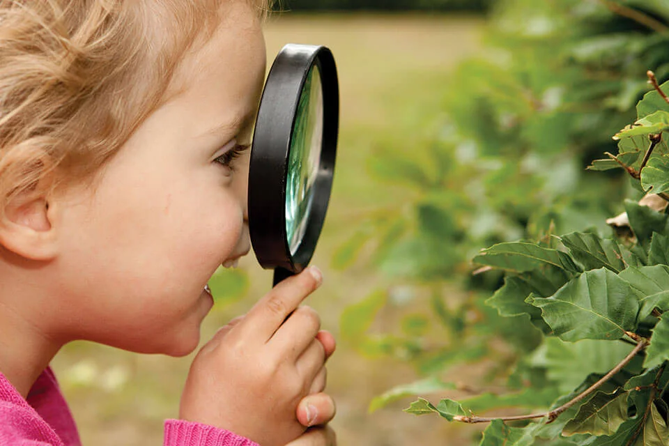 Woodland Trust
