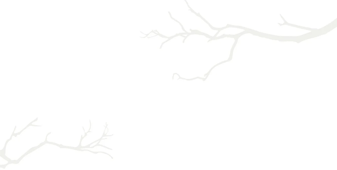 Treehouse Resort Rentals — Tree House Ridge, LLC | Treehouse Resort ...