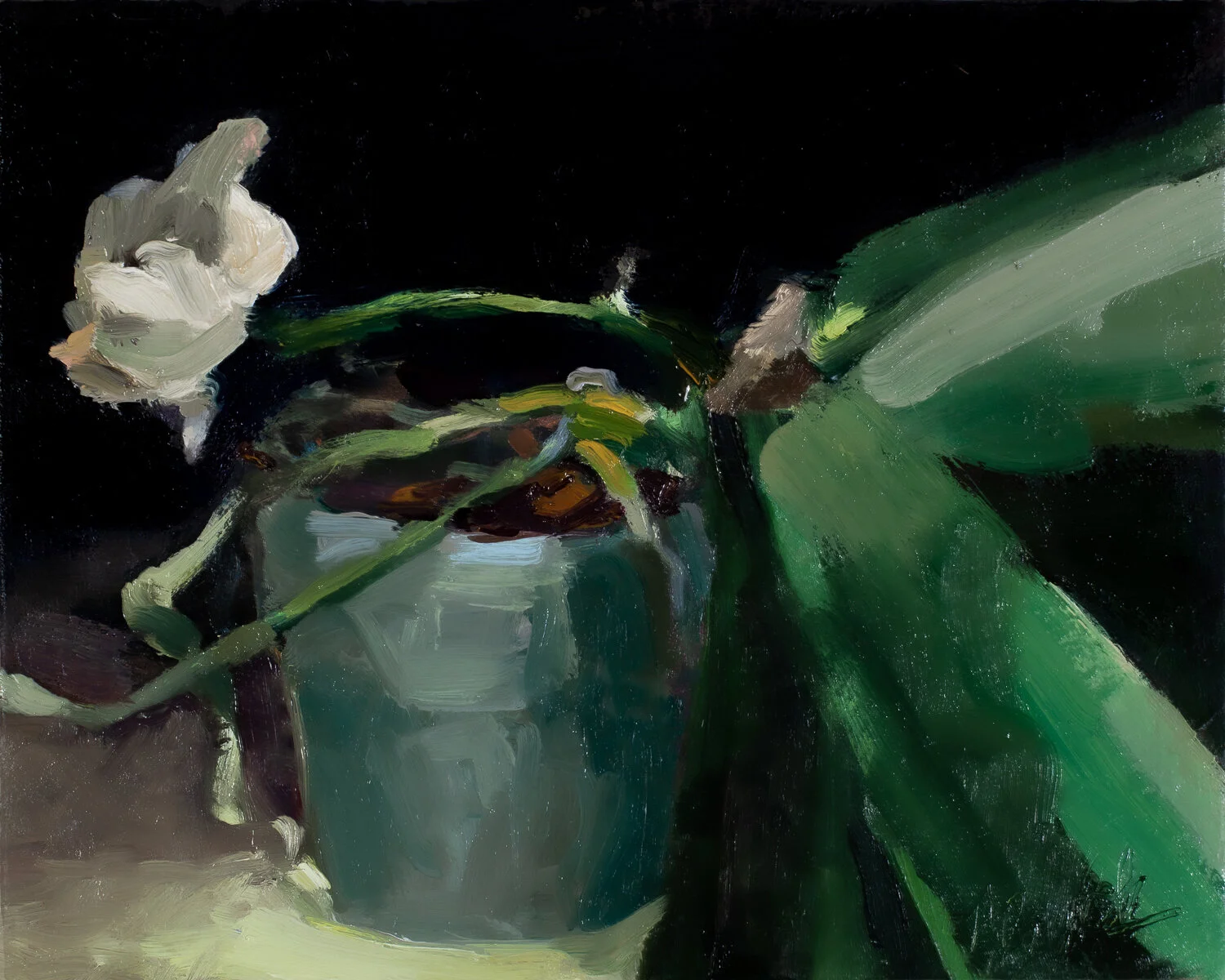 Flowers — jacqueline buck donadeo