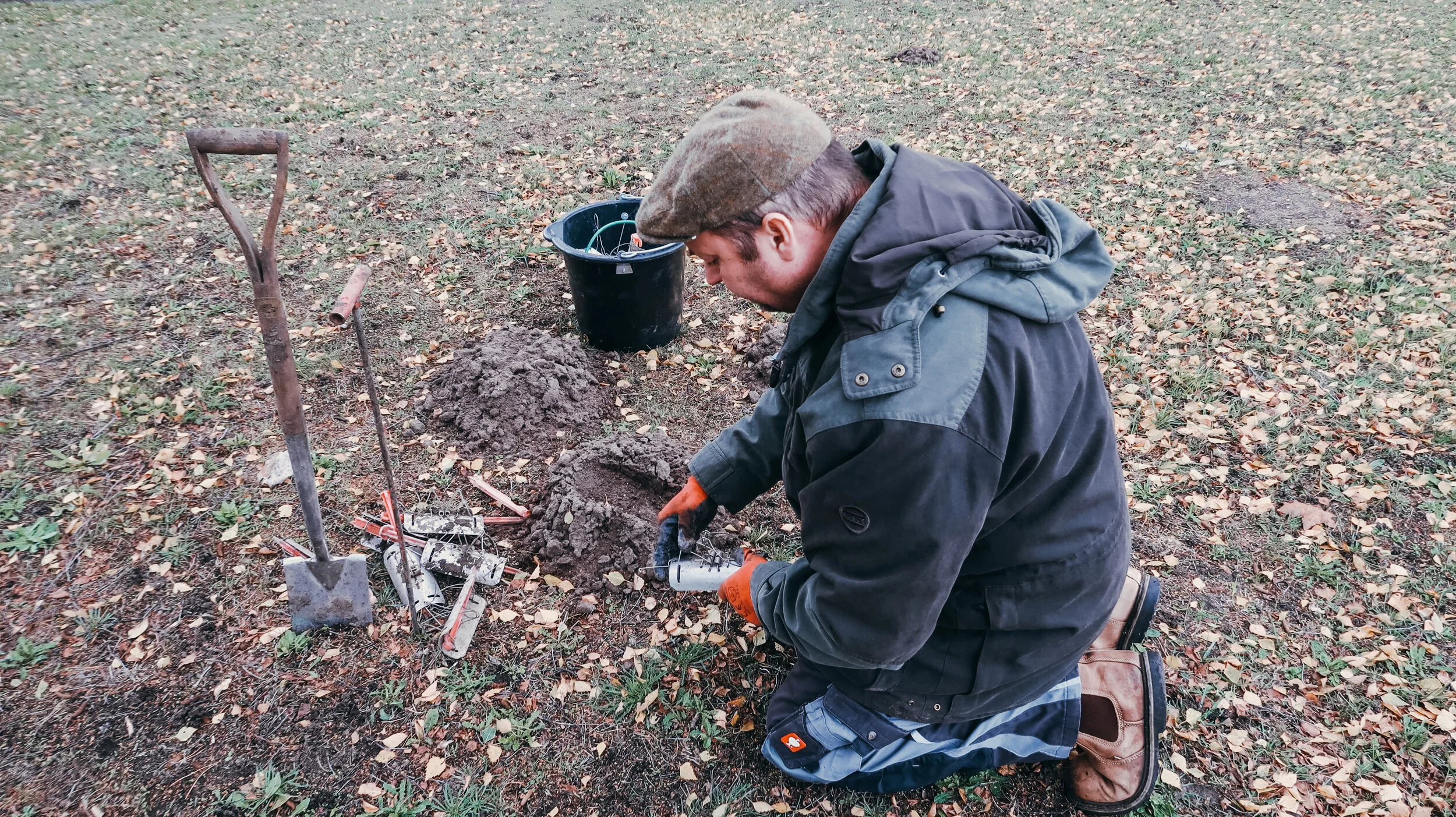 Ipswich Pest Control | Mole Catcher | Wasp Nest Removal