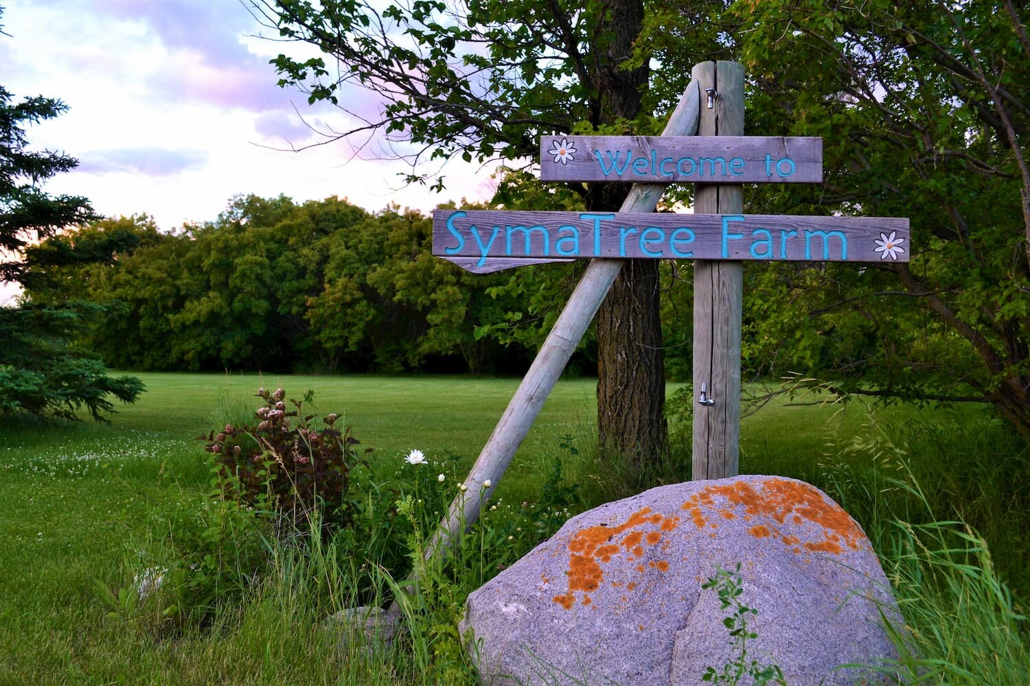 Contact Us | Symatree Farm Ltd.