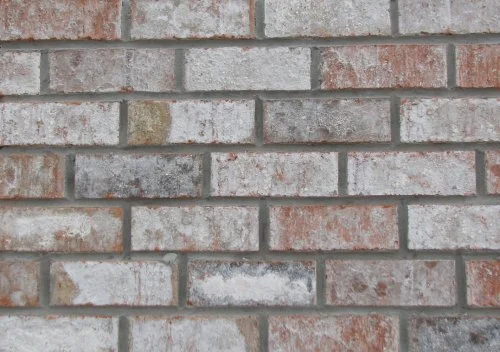 Queen Bricks — KENTWOOD BRICK