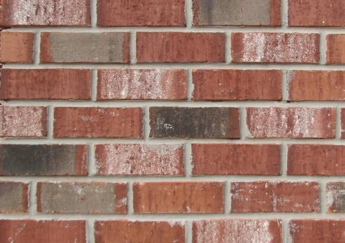 Queen Bricks — KENTWOOD BRICK