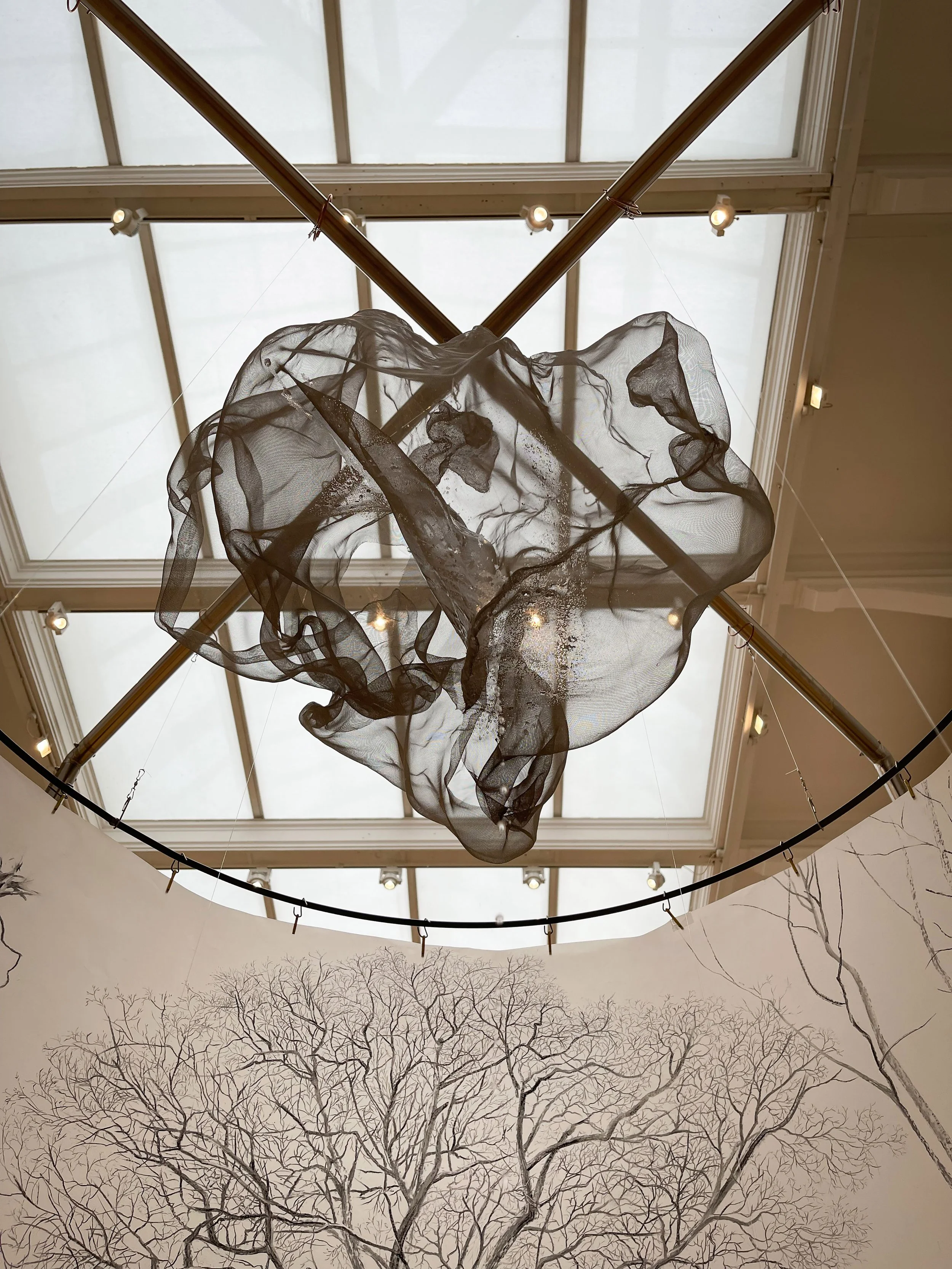 Alex Long Yuan — Artsinsquare