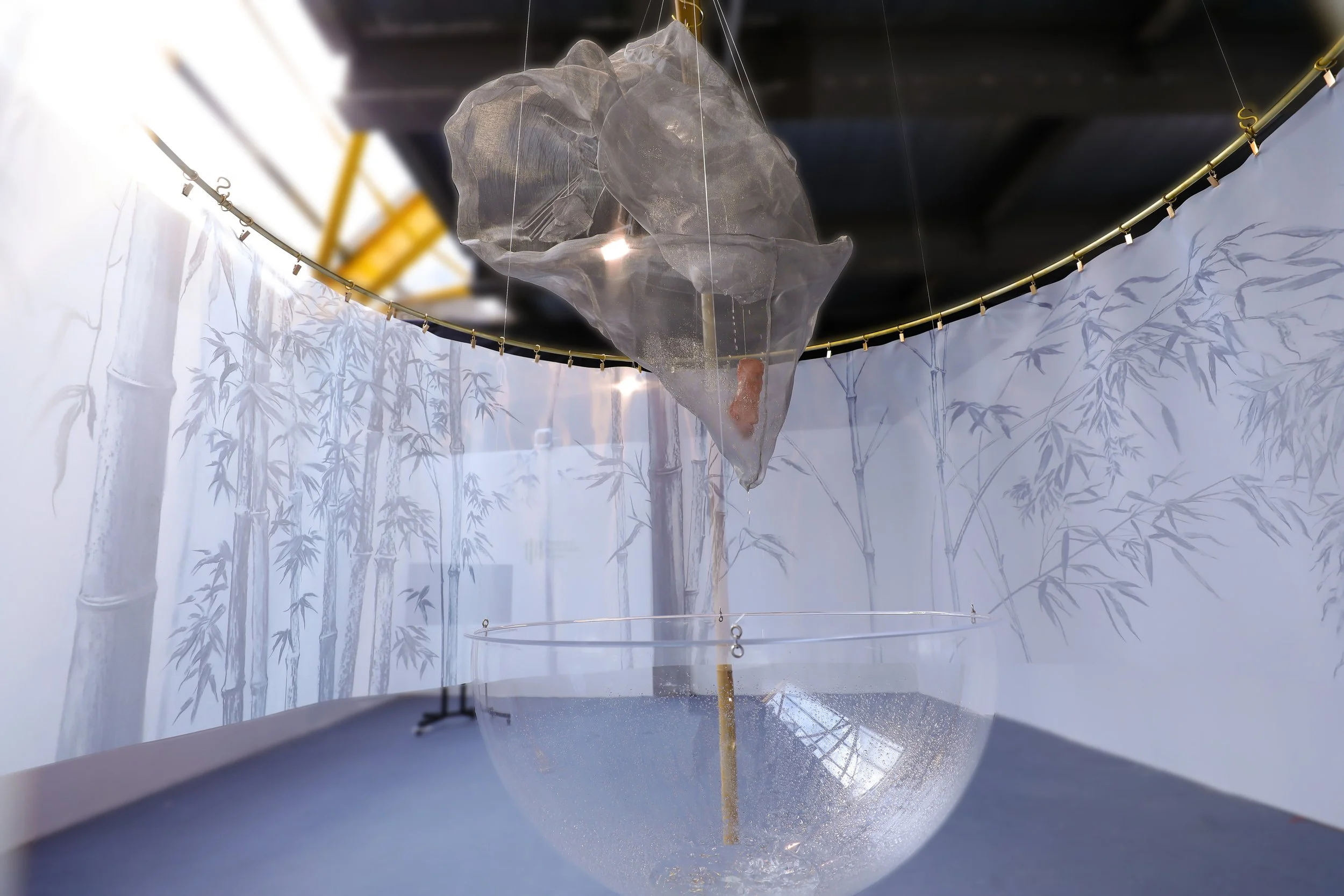 Alex Long Yuan — Artsinsquare