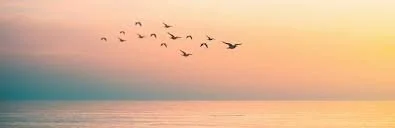 Blog 3 — AEC Foundation