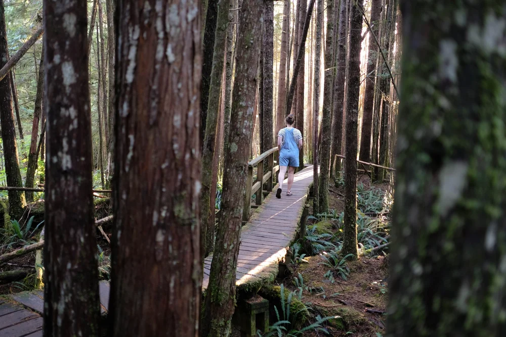 Vancouver Island — Travis Roof