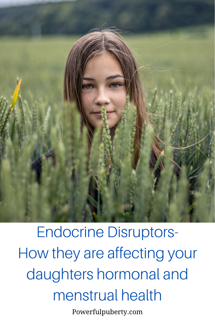 Endocrine Disrupters: How They Affect Your Daughters Hormonal Health ...