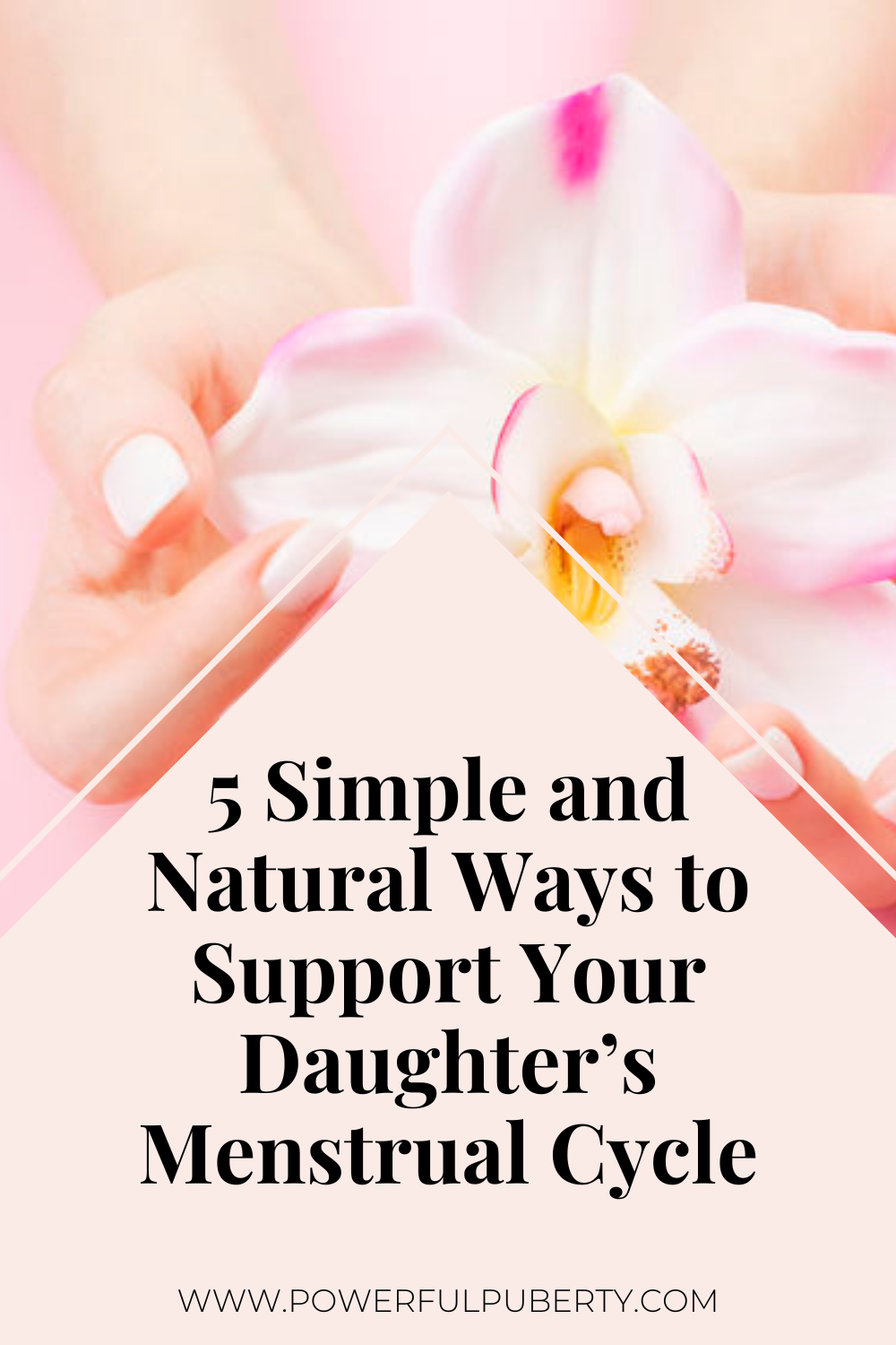 Free Menstrual Cycle Guidebook — Powerful Puberty