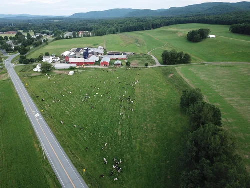 About — Miller Farm