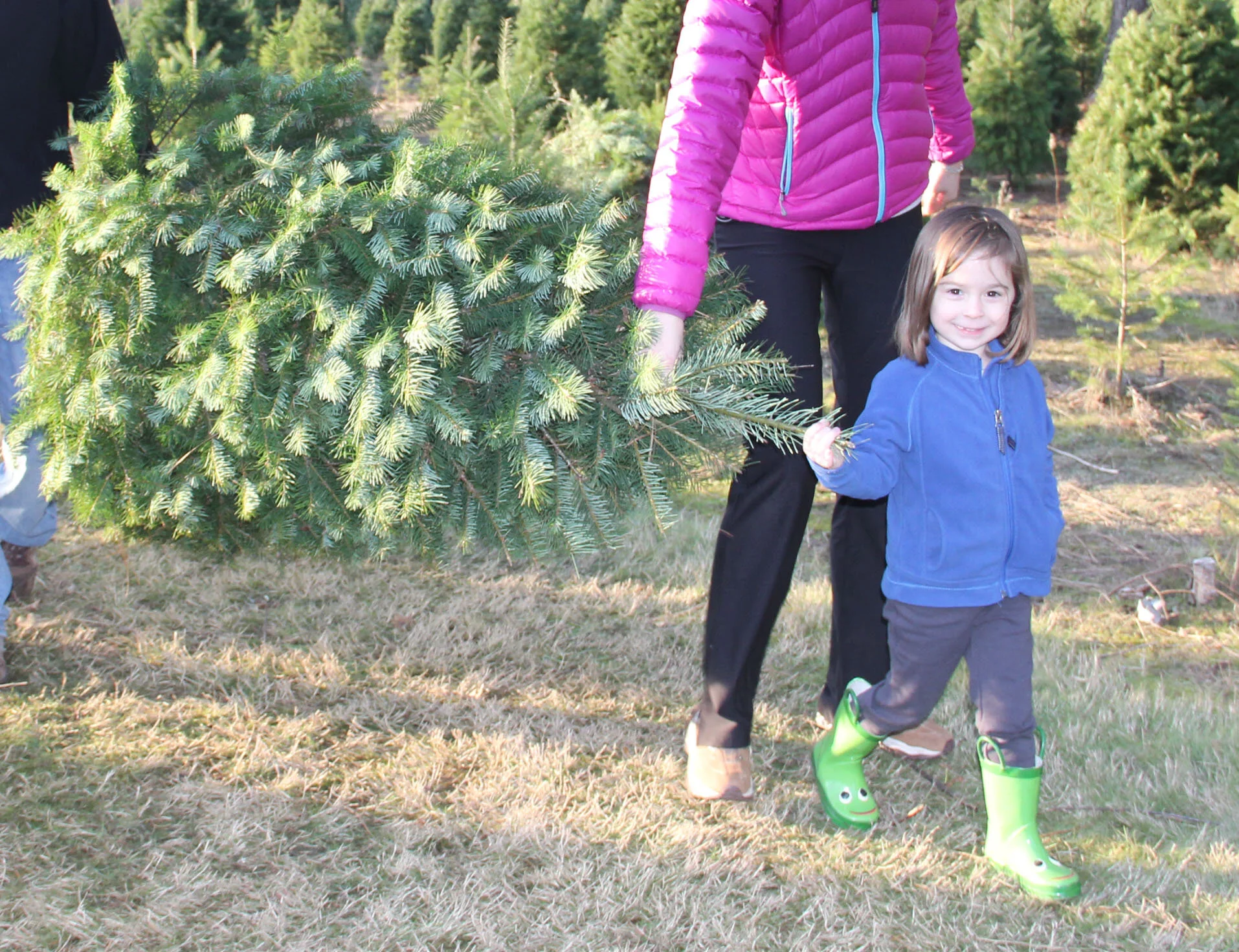 Beaverton Holiday Ucut