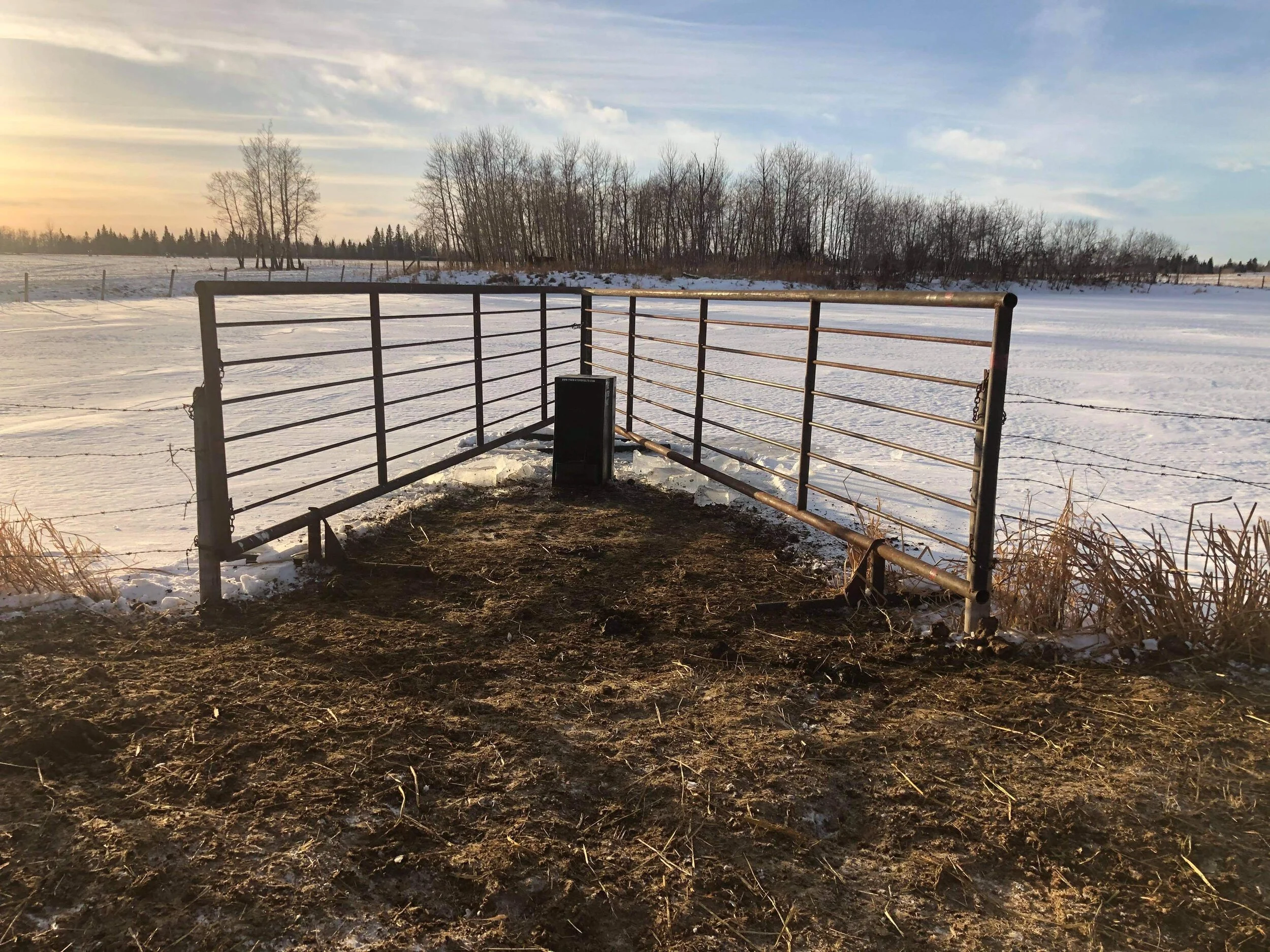 The Water Box™ - Cow Powered
