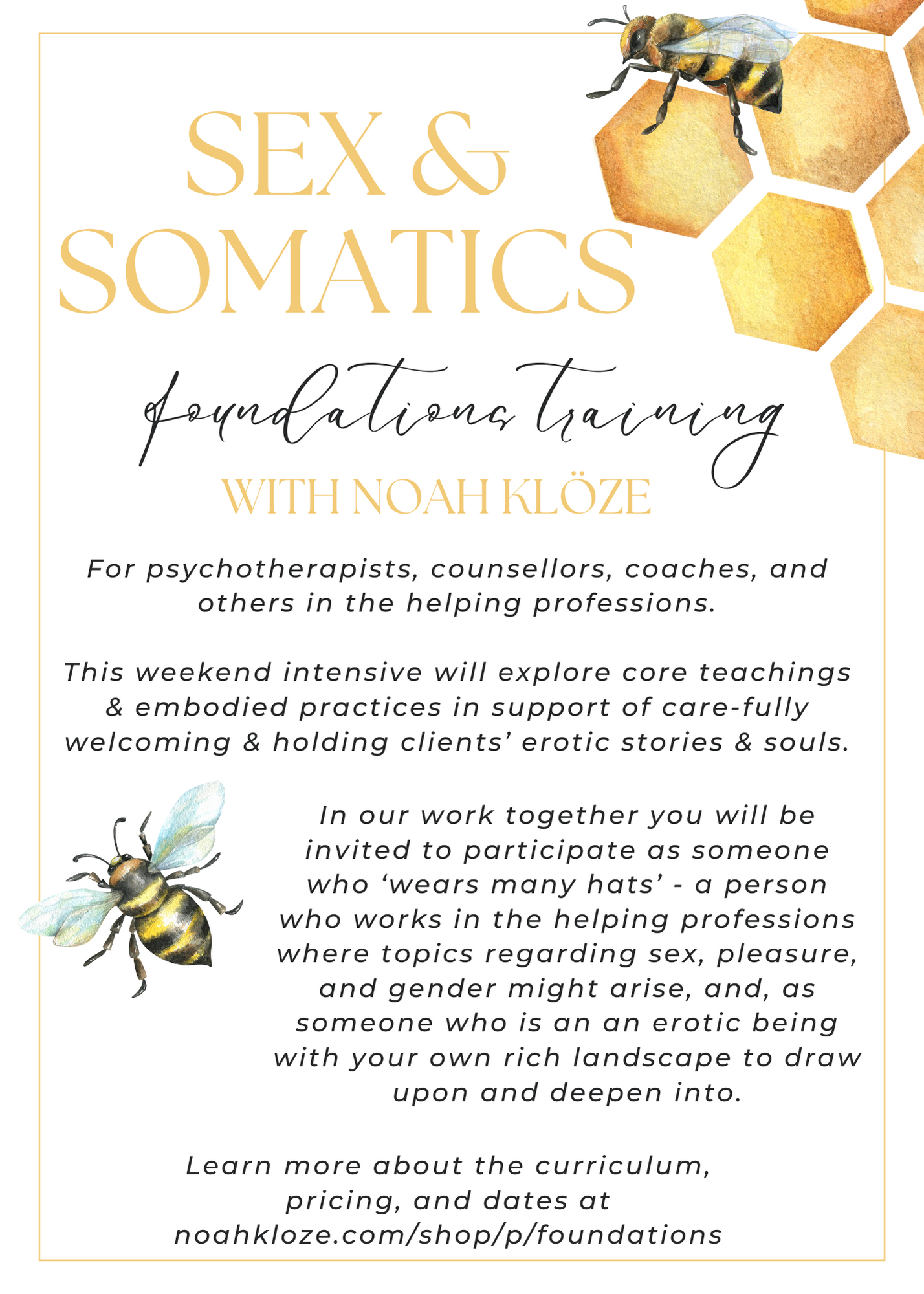 Sex & Somatics: A Training for Therapists & Others — Noah Klöze