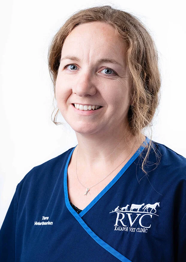 Small Animal Team Kaiapoi — Rangiora Vet Centre
