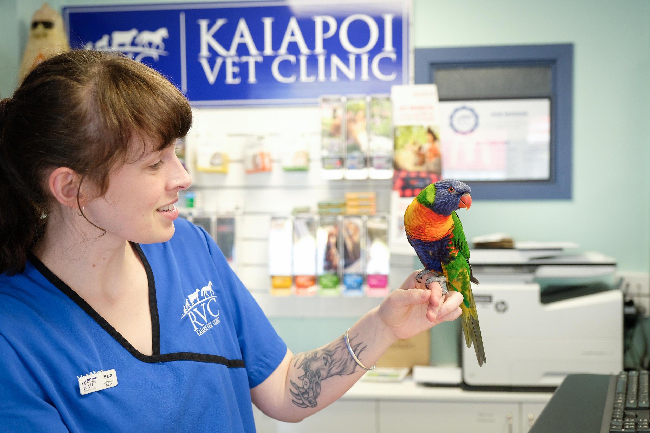 Kaiapoi Vet Clinic — Rangiora Vet Centre