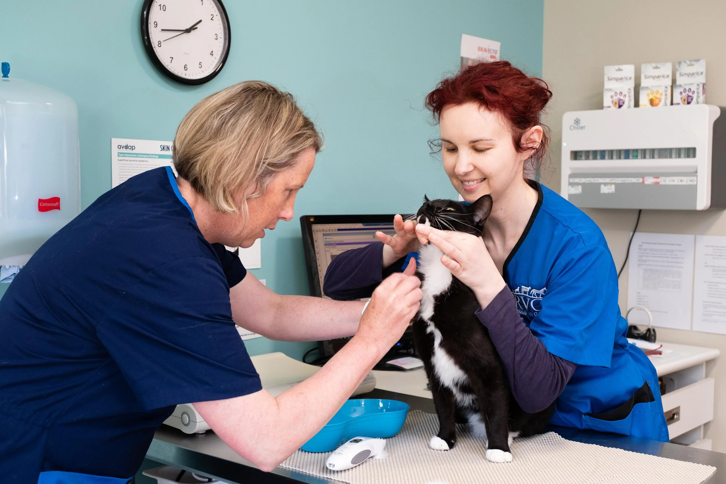 Woodend Vet Clinic — Rangiora Vet Centre