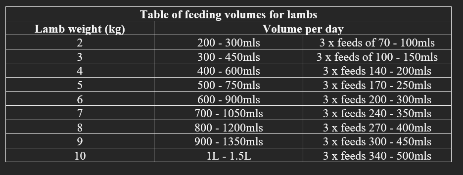 Abomasal Bloat in Lambs & Kids — Rangiora Vet Centre