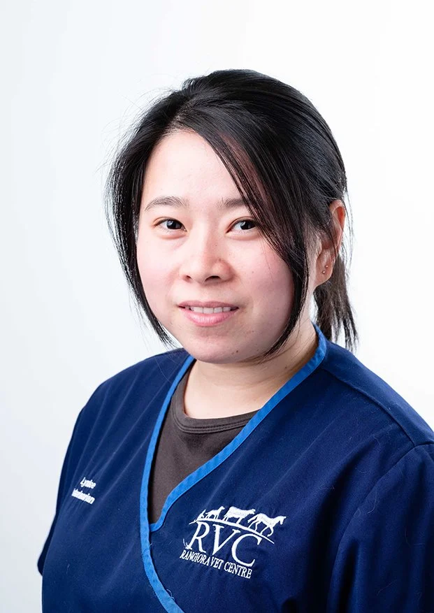 Small Animal Team Kaiapoi — Rangiora Vet Centre