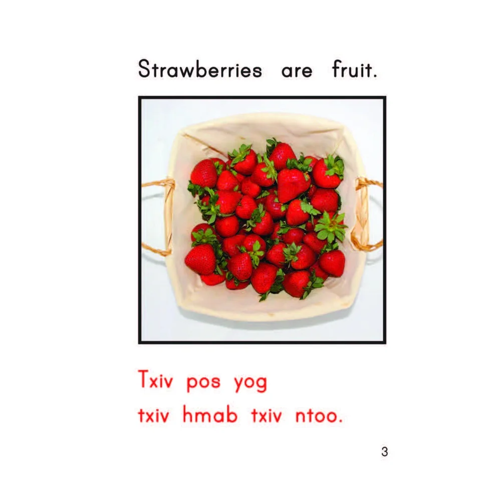 Bilingual Hmong Children's Book: Hmong Food | Mov Hmoob — Project Hmong ...