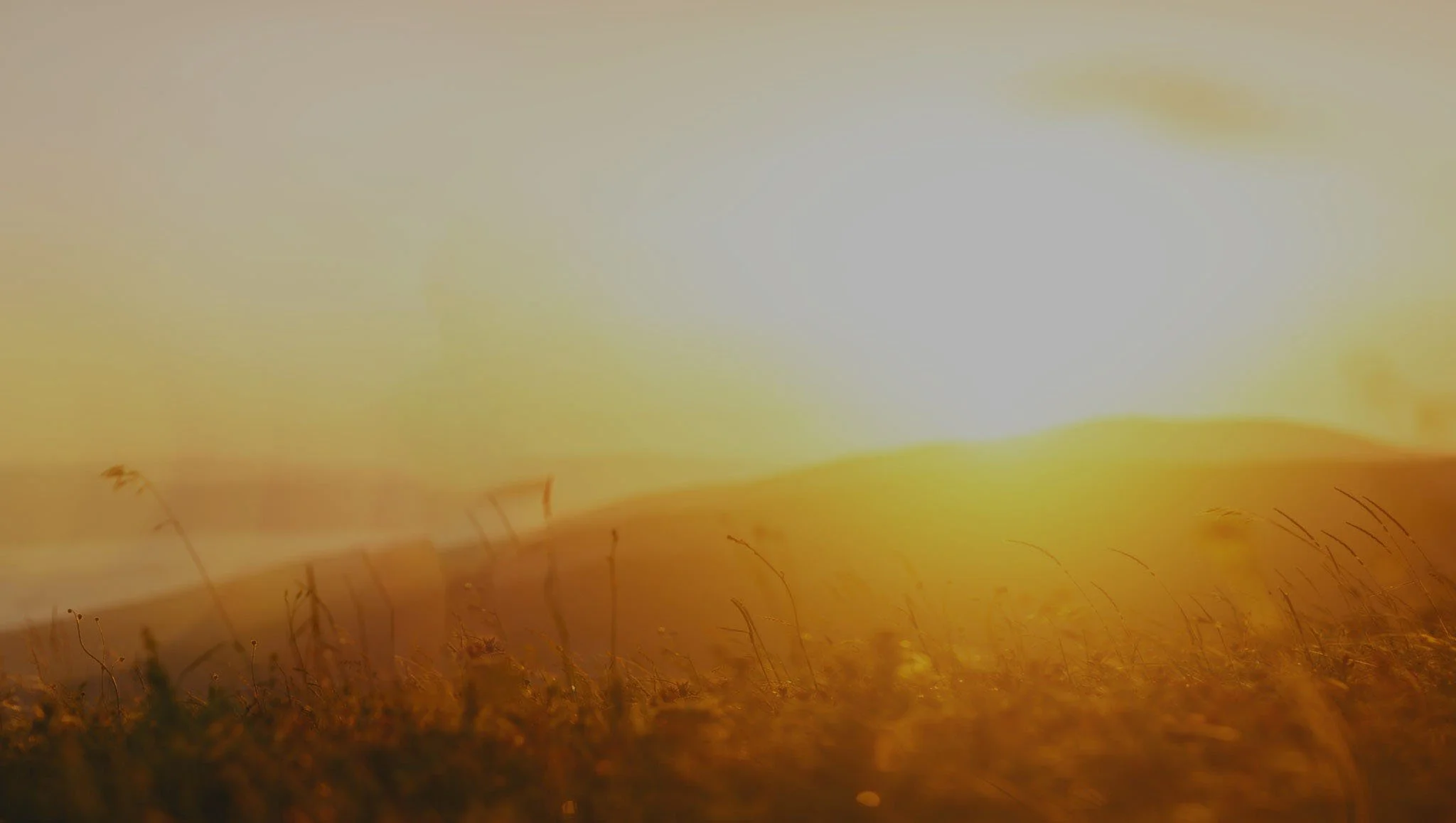 Our Team | Netsolar Inc. | Sustainable Energy Solutions | Philippines