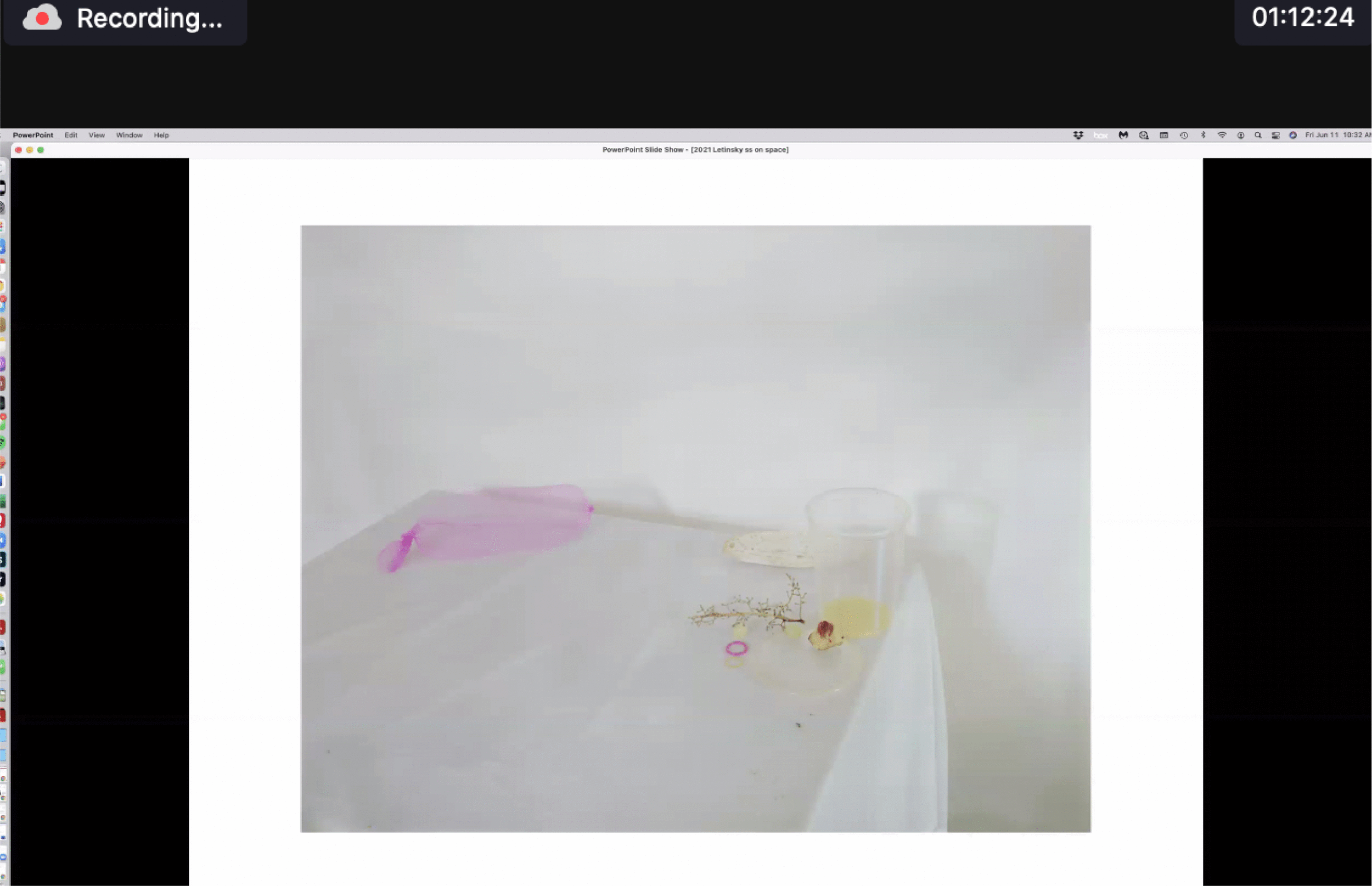 Laura Letinsky — ss space space