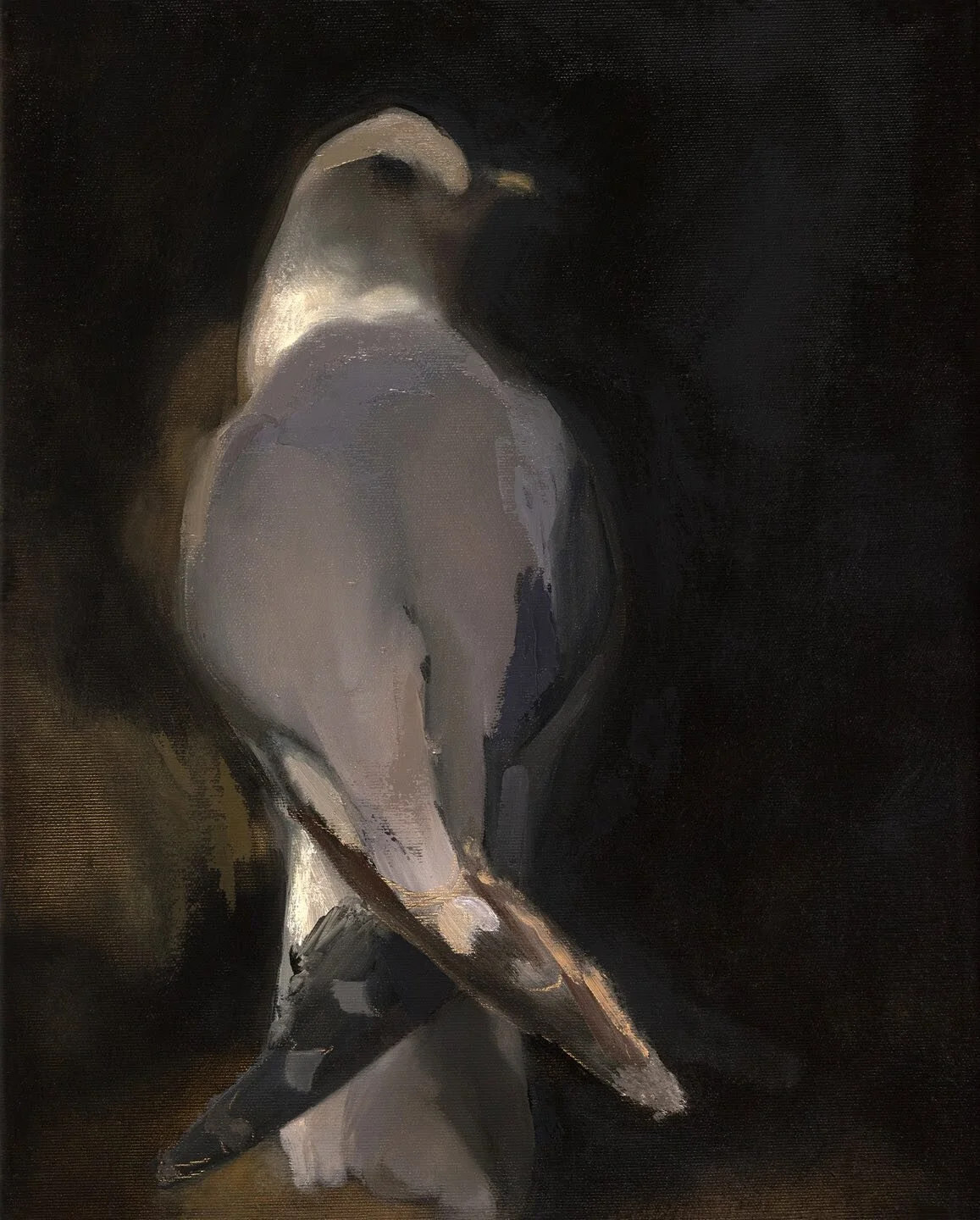 THE IMAGINARY PROJECT