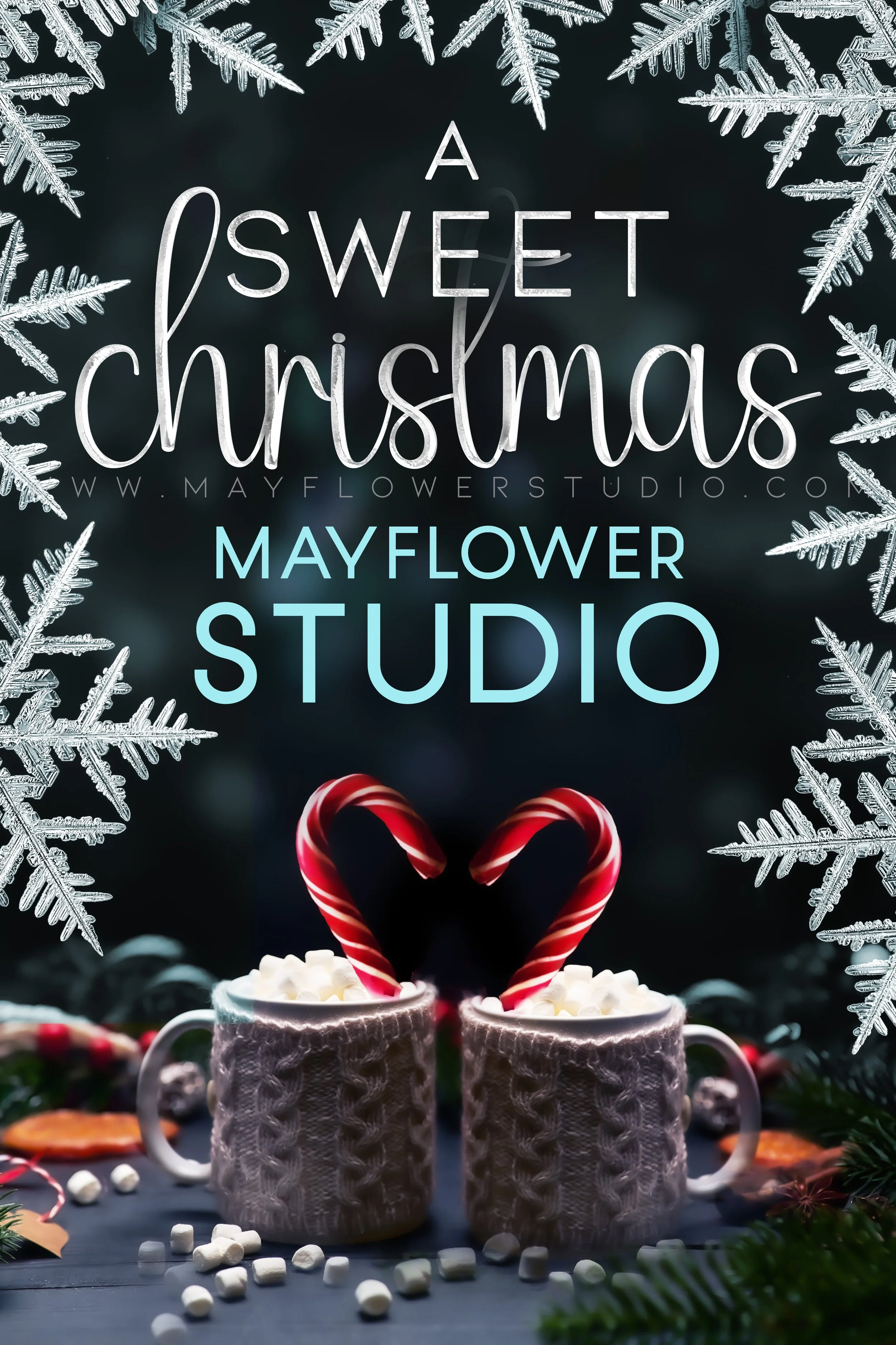 Premade Store — Mayflower Studio