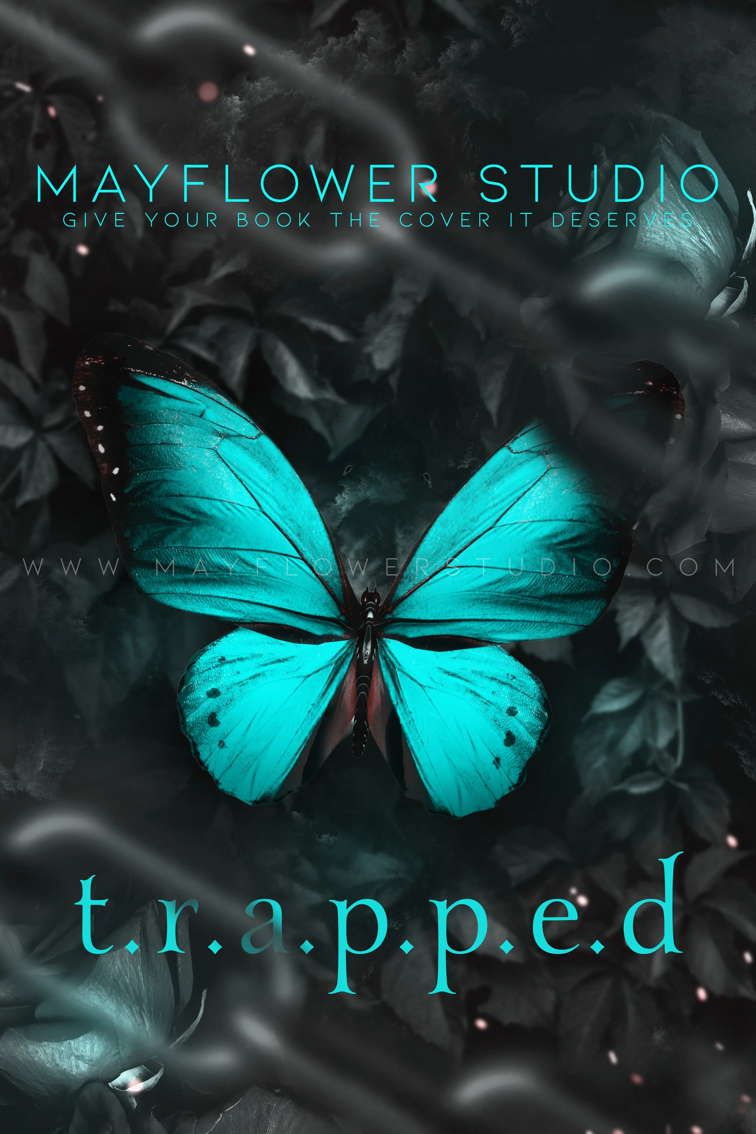 Premade Store — Mayflower Studio