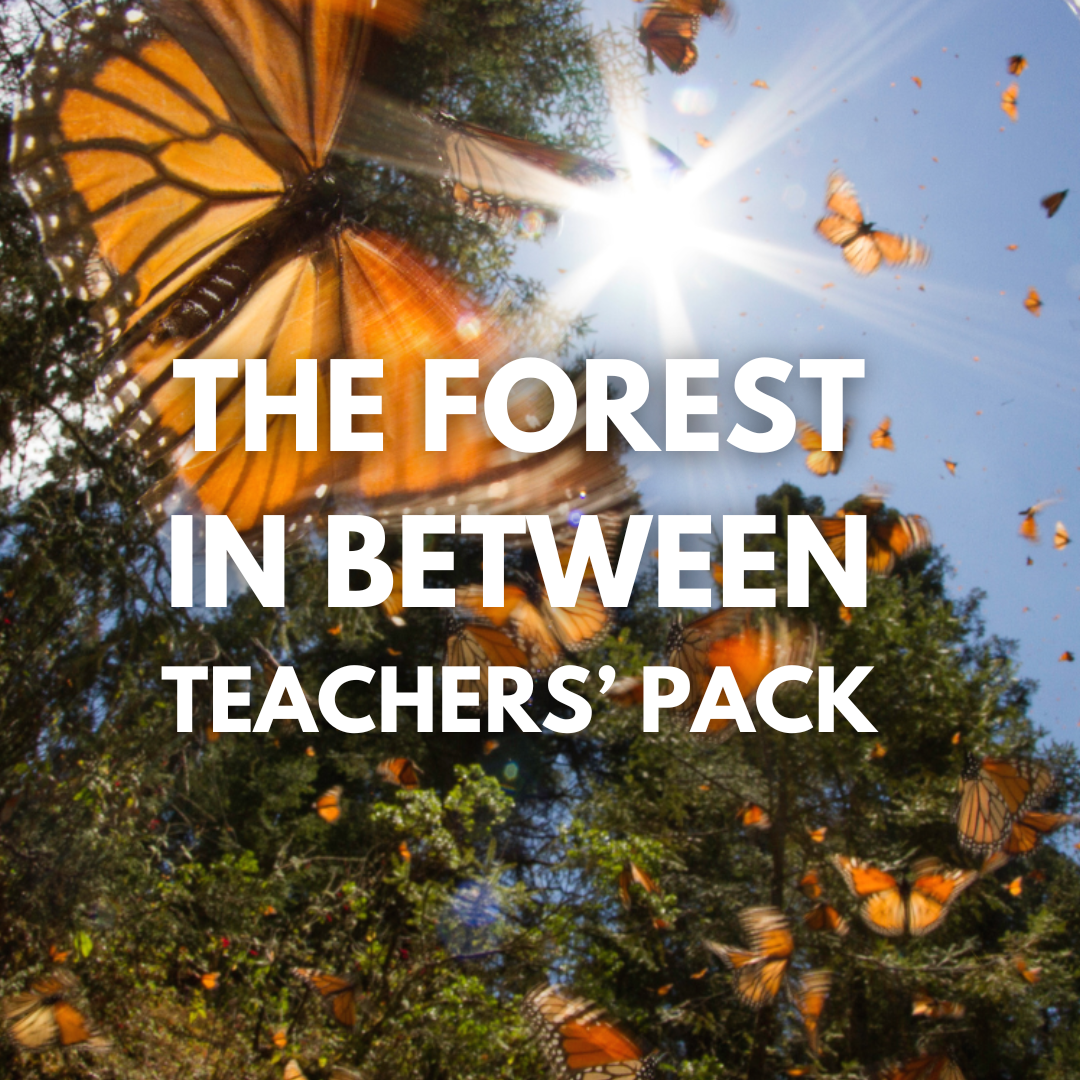 Shop — Peer Productions