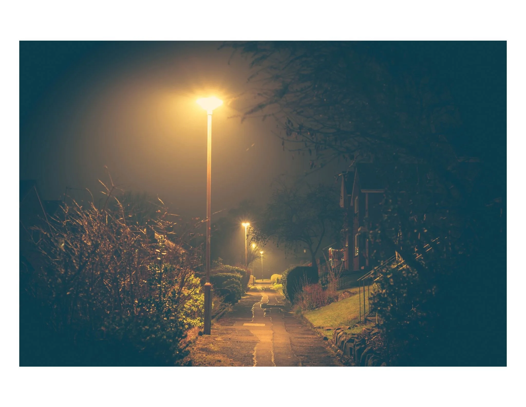 Ali Burden-Blake Photography