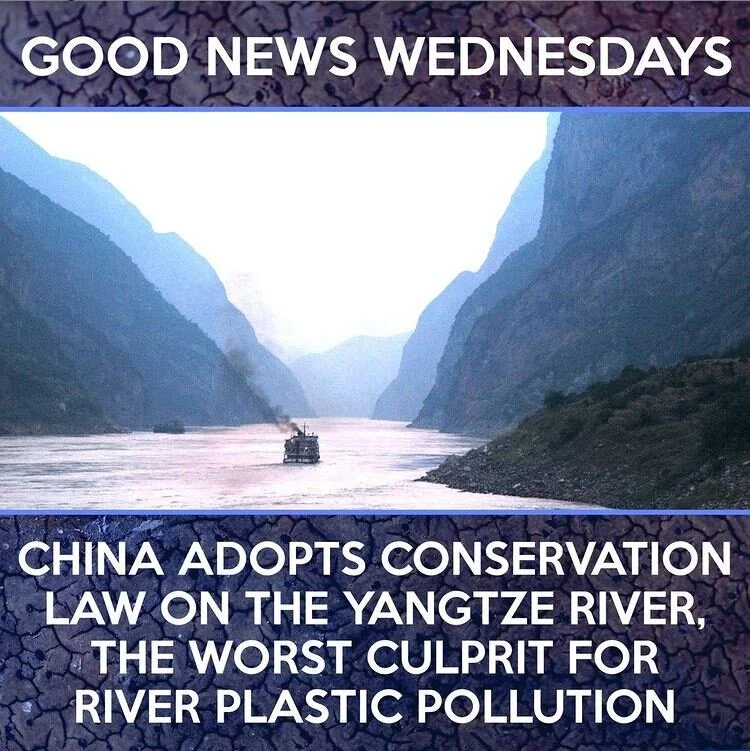 Chinese Government Enshrines Environmental Protection in Law — Crab Museum